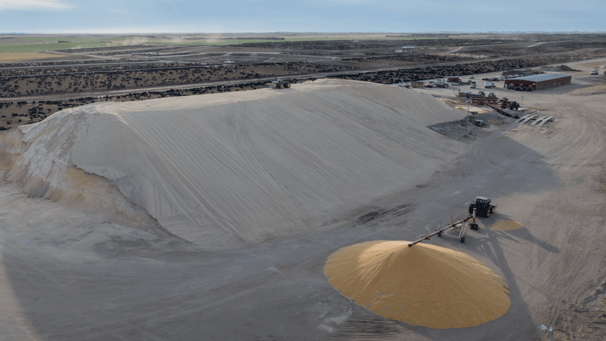 High Moisture Corn – Foote Cattle Company